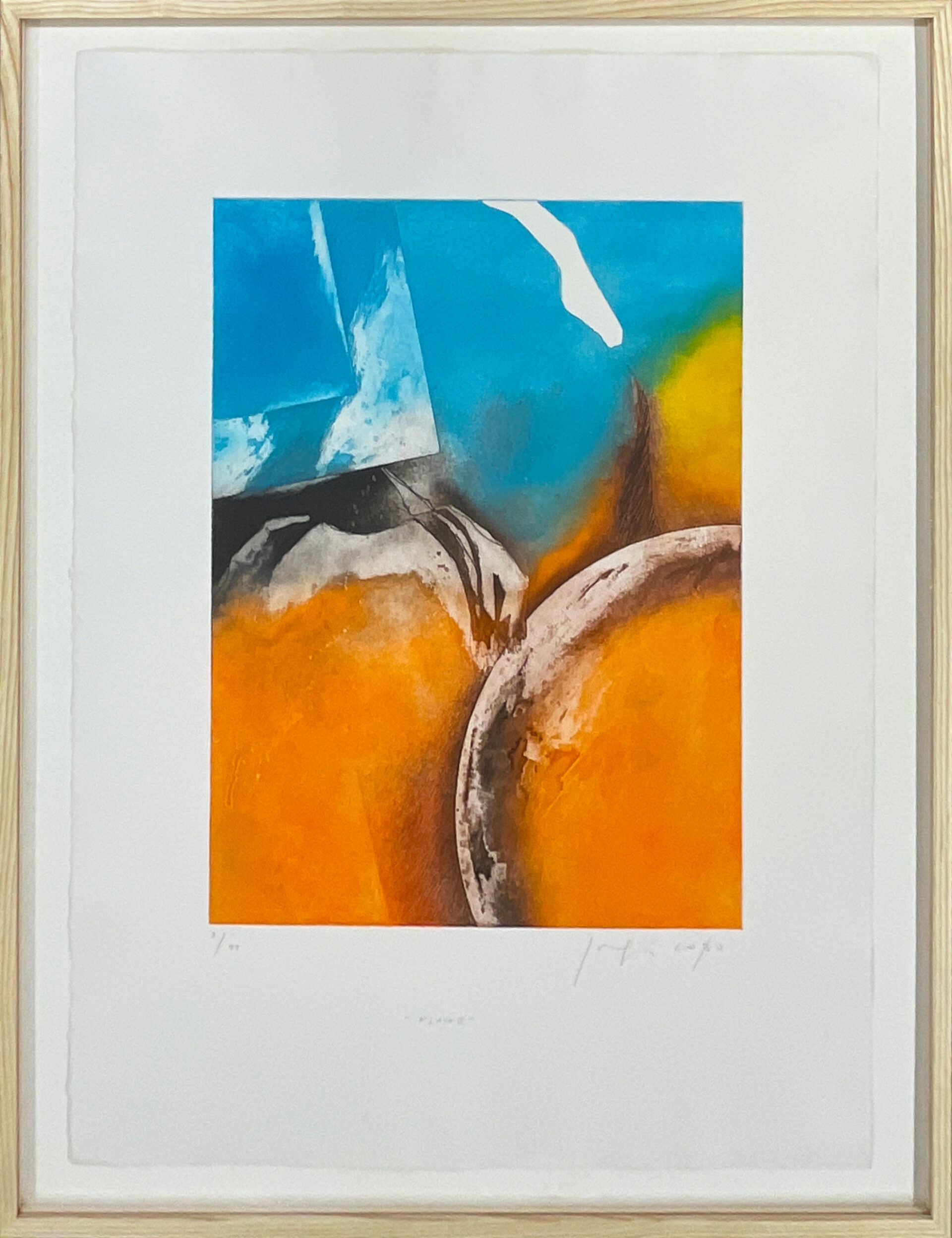 Flying – Washington Color Gallery