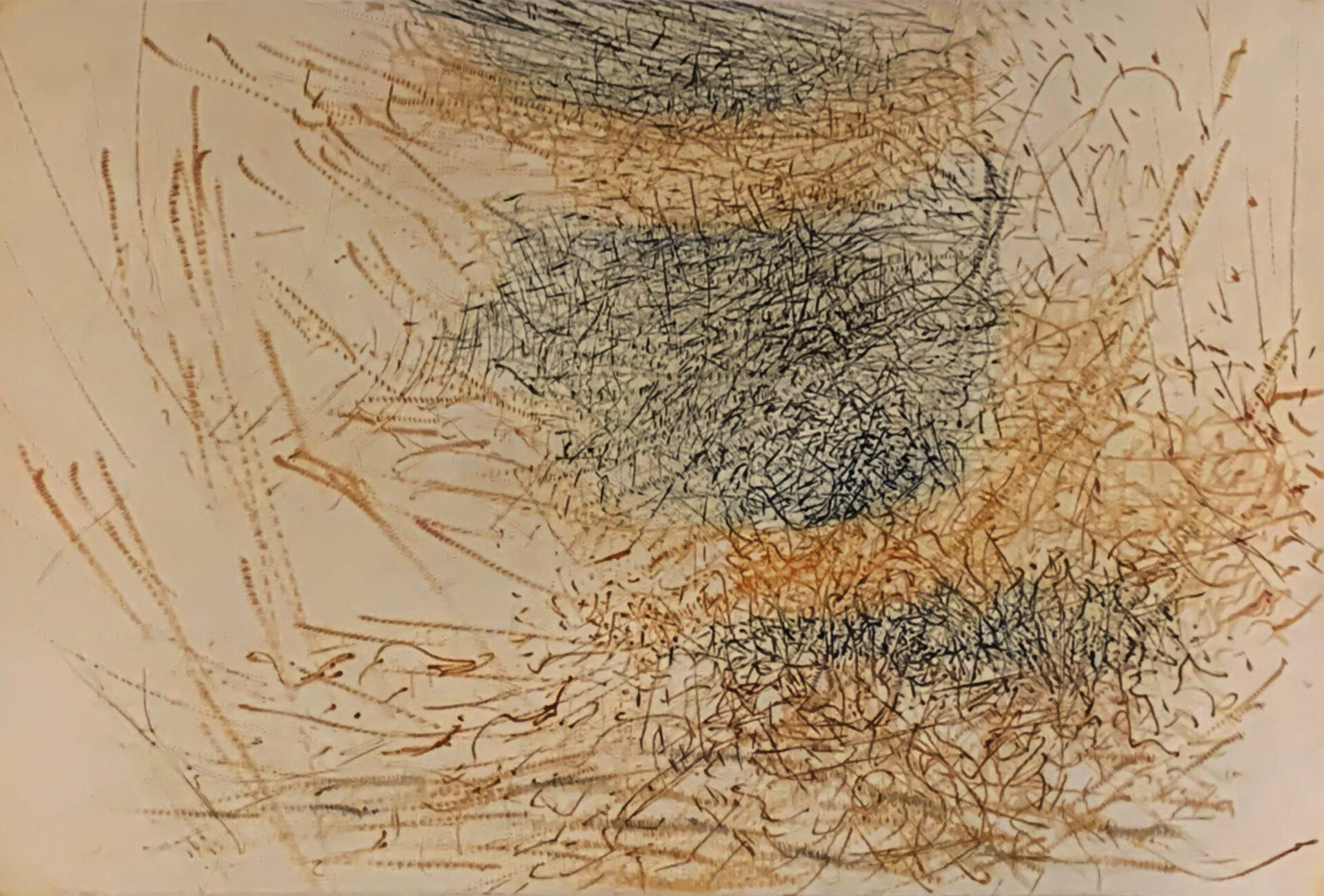 Frumenti – Washington Color Gallery