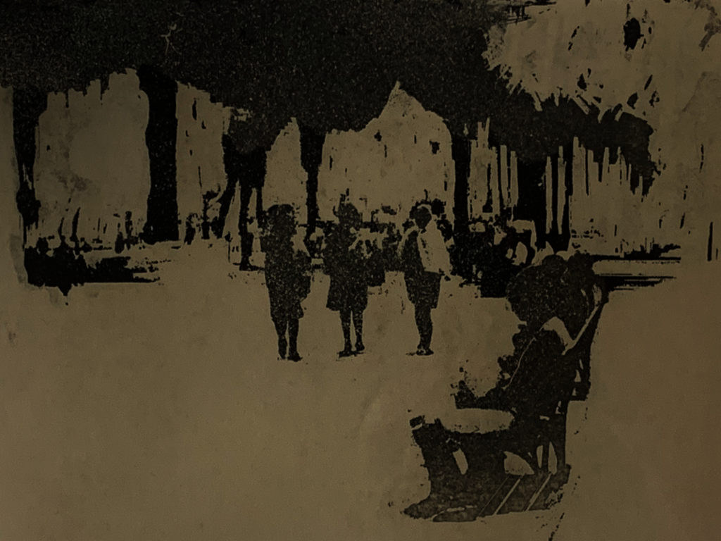 Noon Shadows – Washington Color Gallery